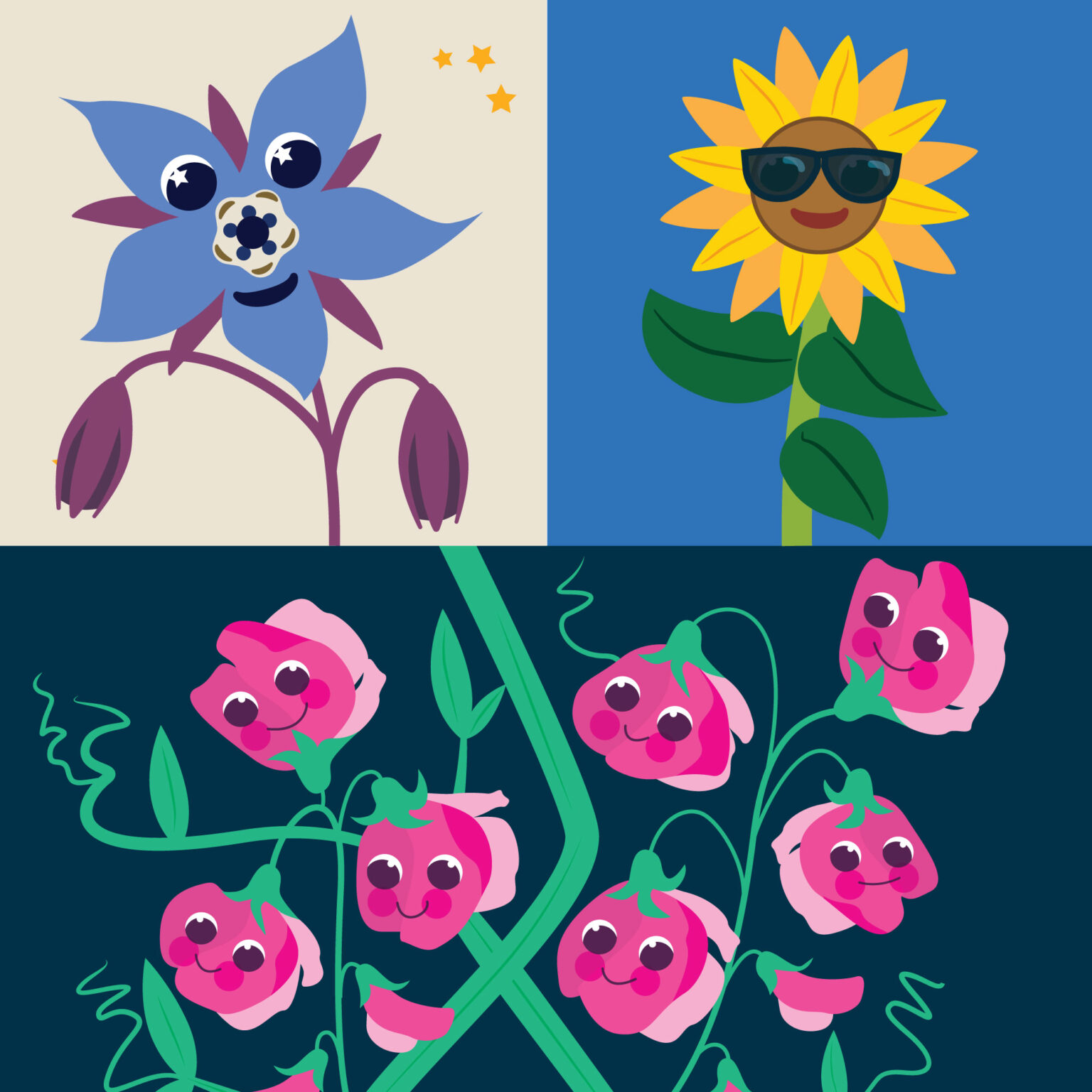 Design and Illustration Portfolio | Sam Osborne Studio